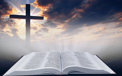 Holy Bible Malayalam Large Font POC Bible Catholic – kingnqueenz.com